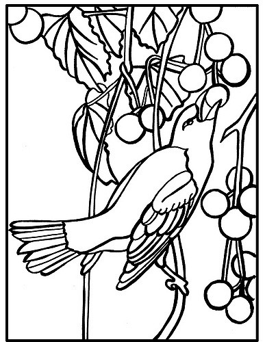Pássaros de Audubon para Colorir Audubon’s Birds Coloring Pages | UniPlanet